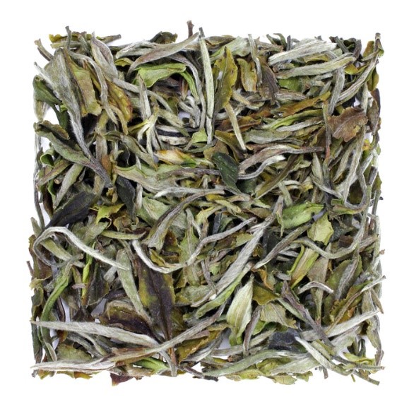 Himalayan white tea – Nikun Exports